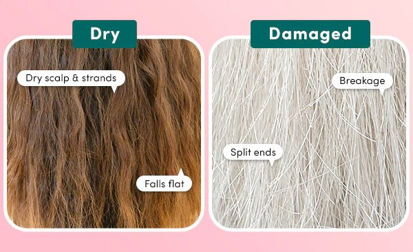 How To Know If Your Hair Is Damaged – OMAKAZI